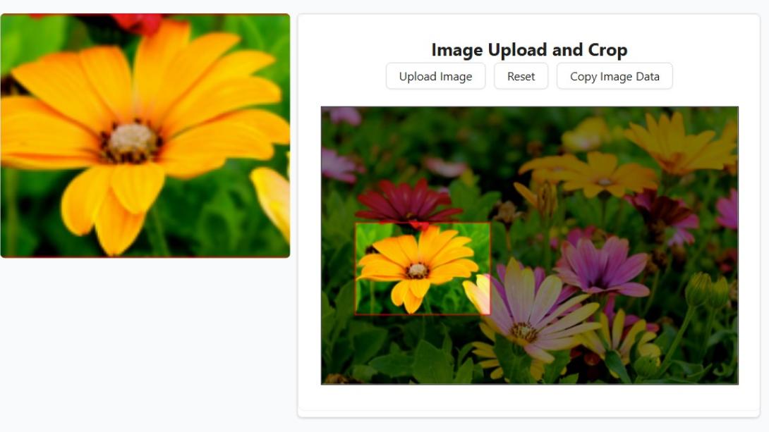 Upload and Crop | Appsmith Community Portal
